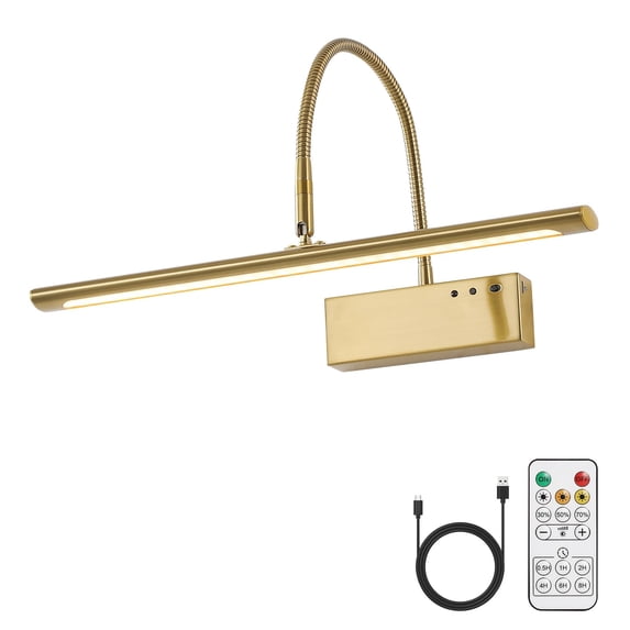JOOSENLUX Wireless Picture Light with Remote Control - 15.75" Inch ...