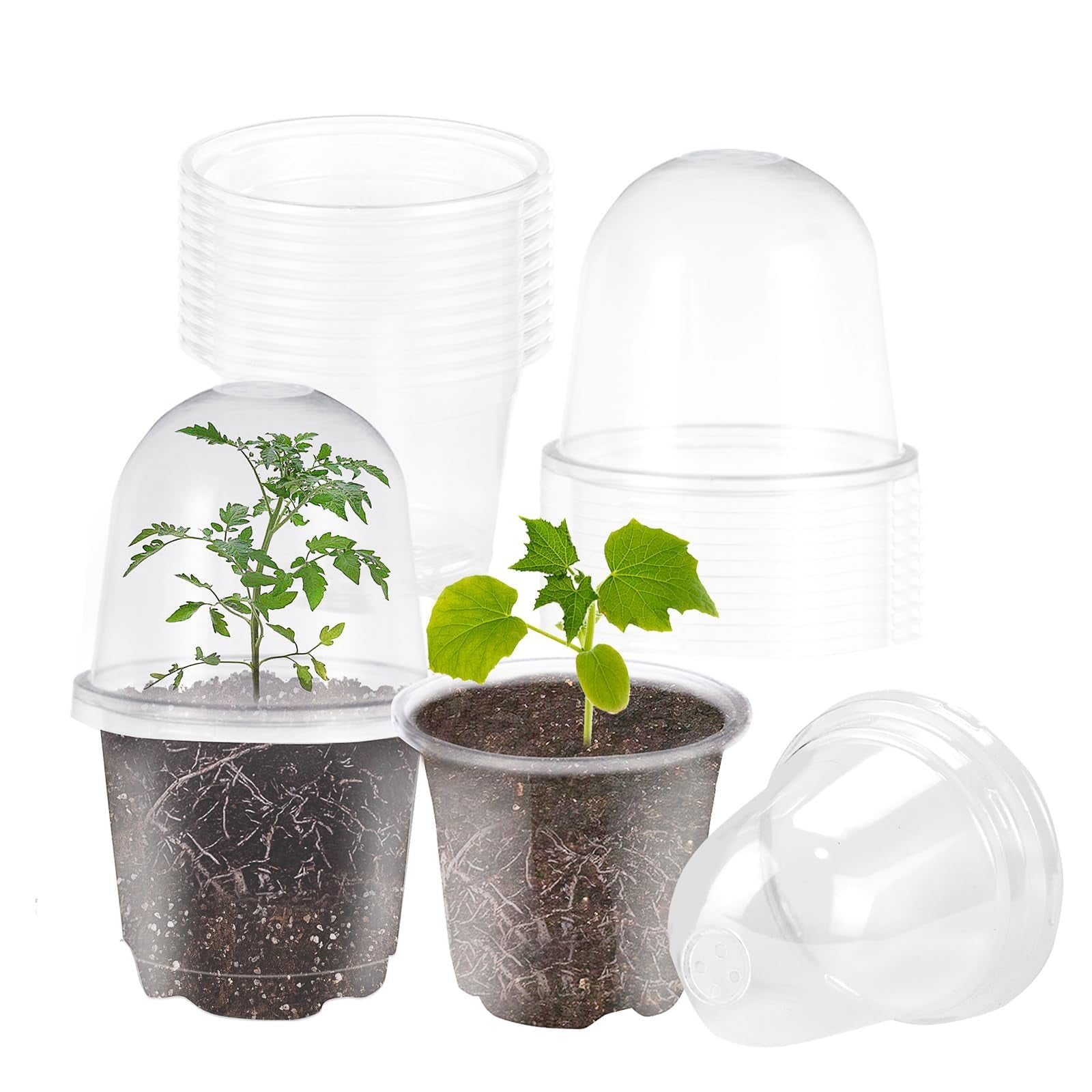 JOPY 30 PackEGSC 4 Inch Plastic Nursery Pots with Dome for Plants Clear ...