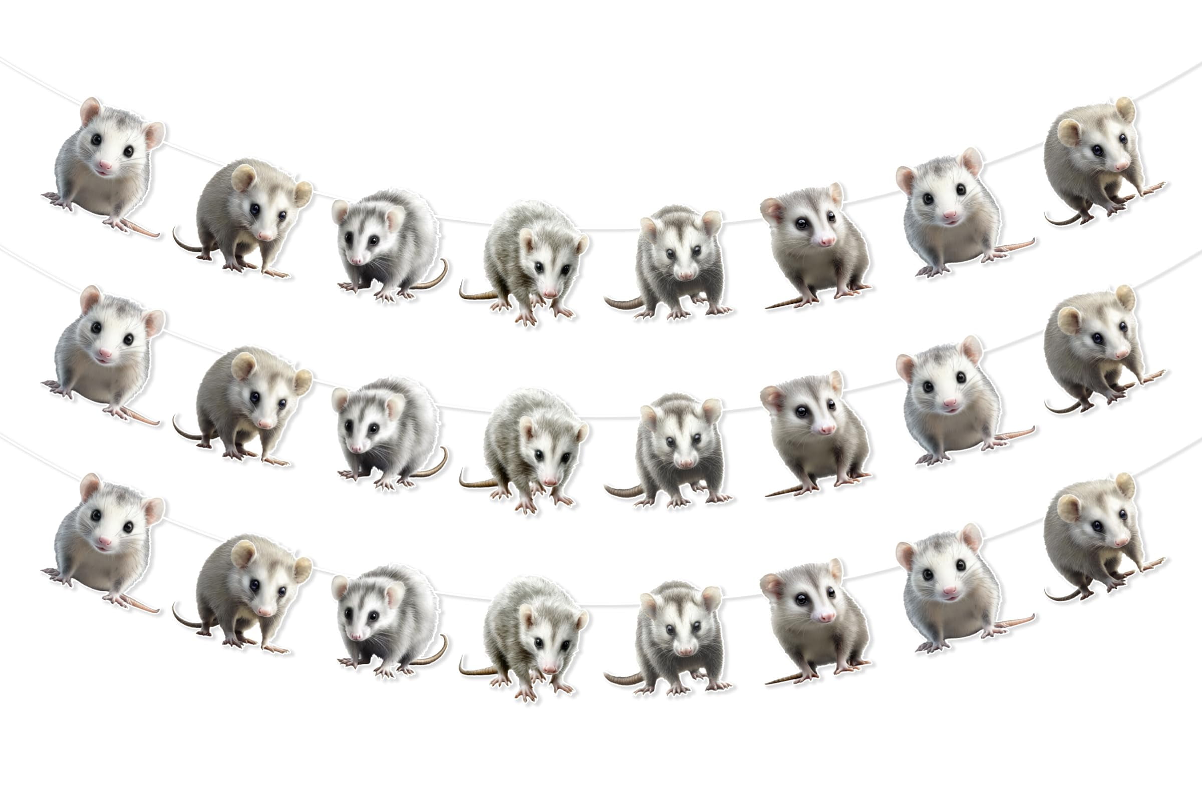 JOYMEMO 3 Realistic FEV6 Style Opossum Party Banners, Opossum Themed ...