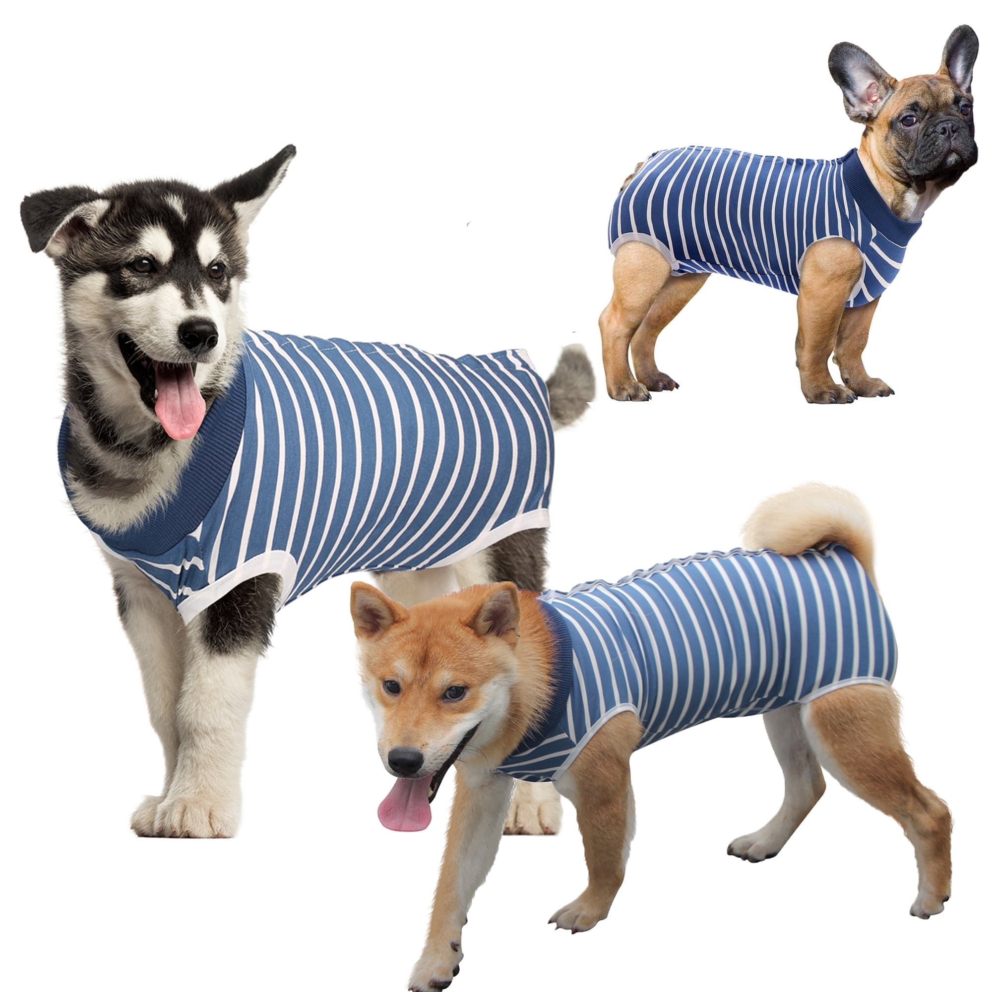 JQQ Dogs Recovery Suit Cats After Surgery, Recovery Shirt for Male ...