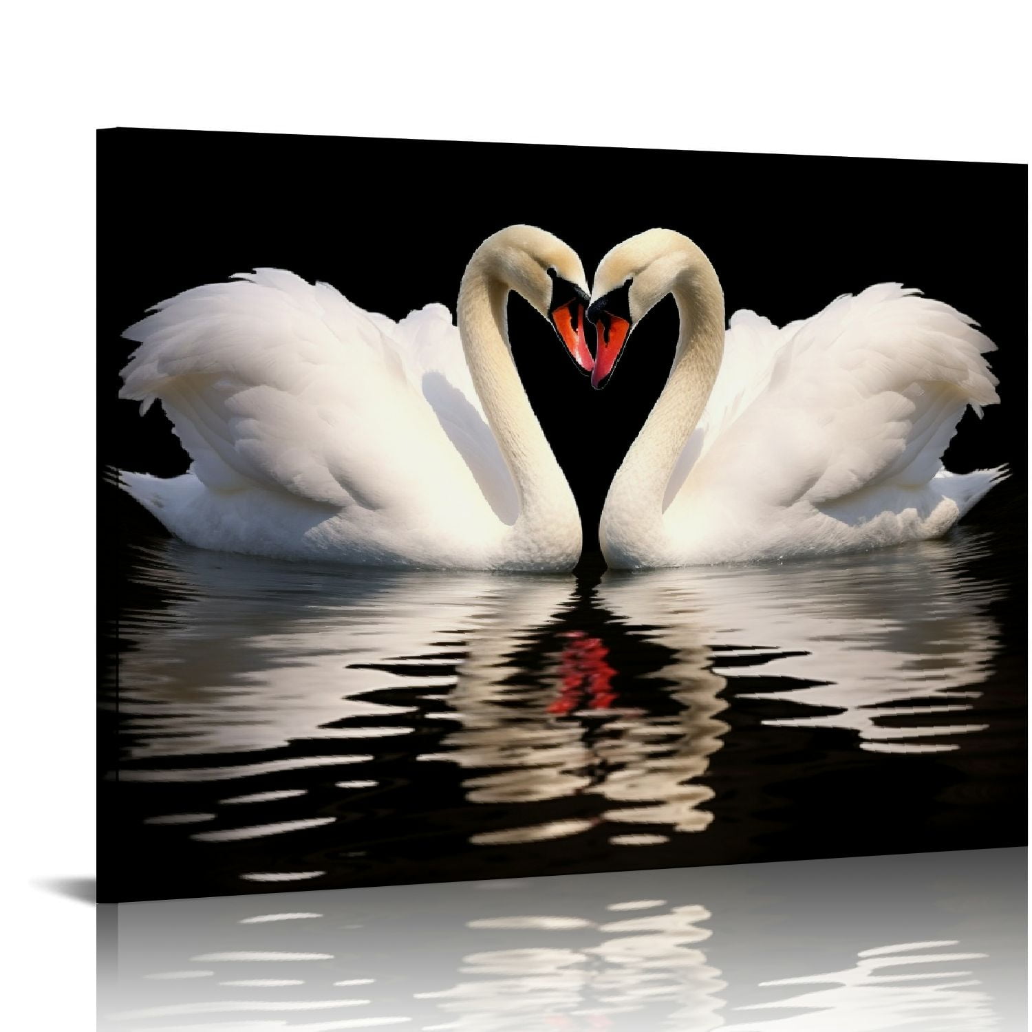 JRXY Beautiful Couple Swan Animals-Romantic Swan Elegant White Swan ...