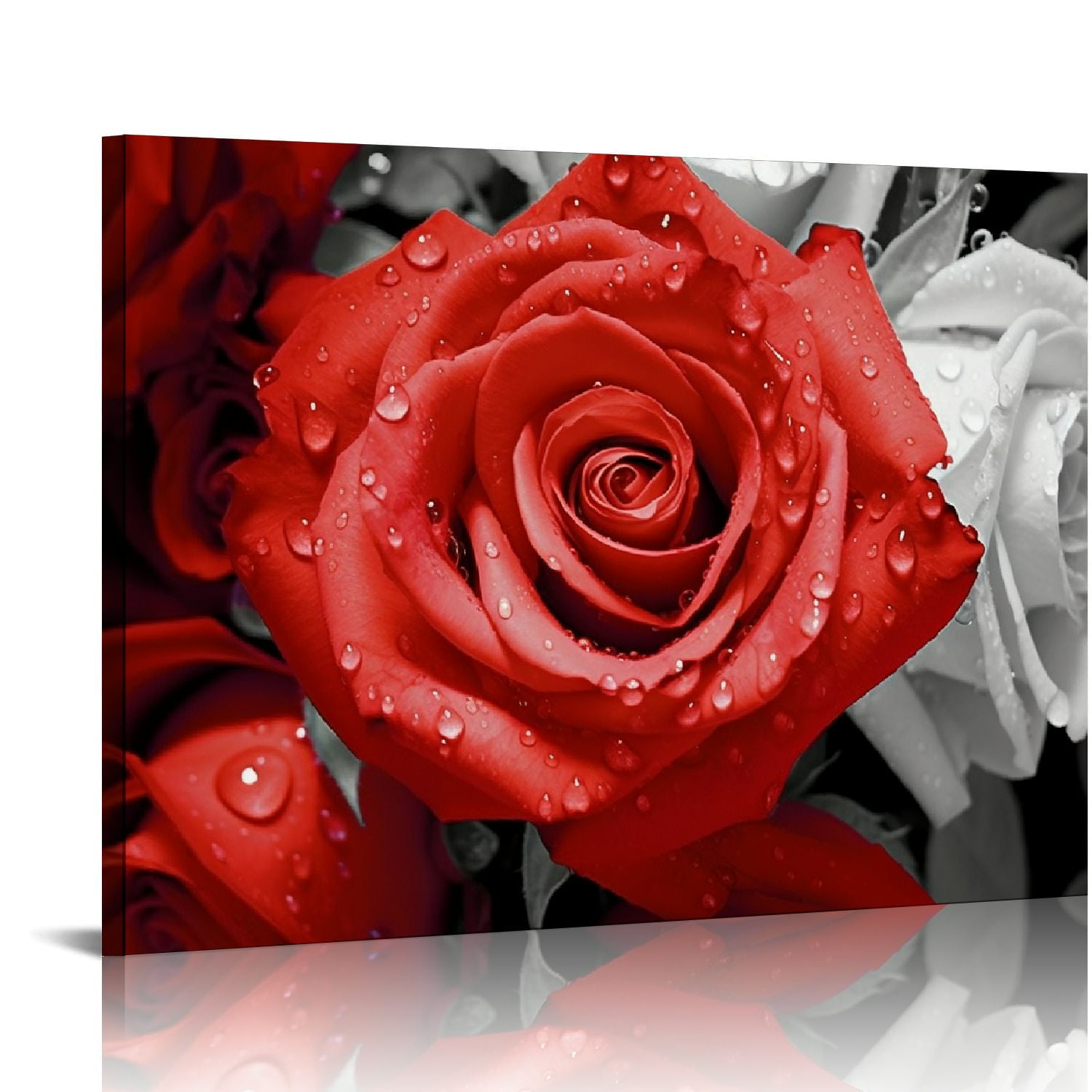 JRXY Black White And Red Rose Canvas Wall Art, Abstract Rose Flowers ...