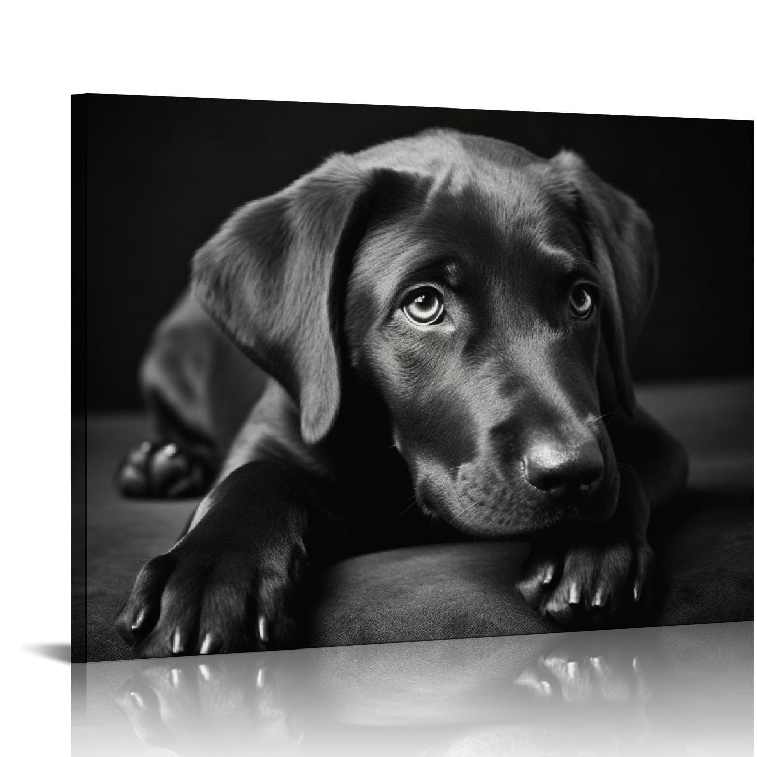 JRXY Black labrador Dog Poster Cute Posters Animal Poster Wall Art ...