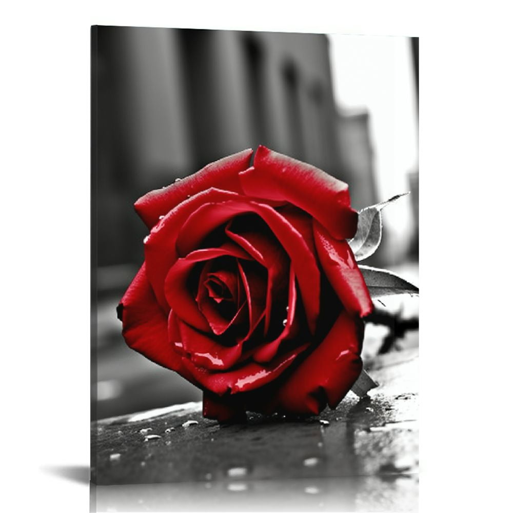 JRXY Canvas Print Black and White Red Rose Canvas Art Painting Abstract ...