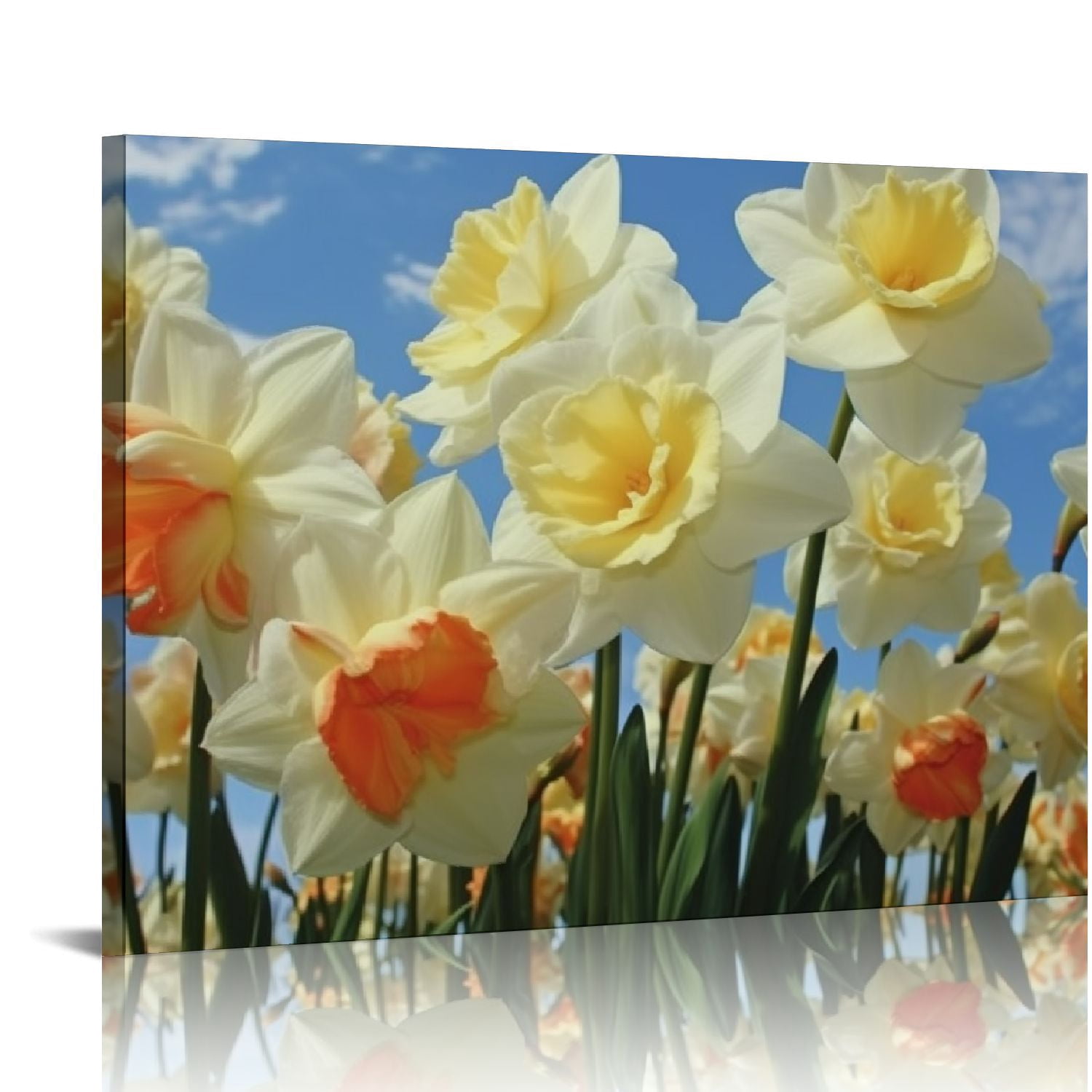 JRXY Daffodils Spring White Flowers Narcissus Poster Canvas Wall Art ...