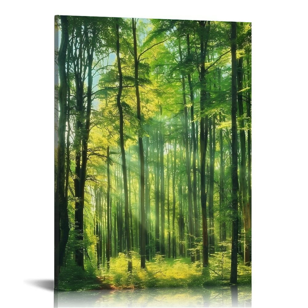 JRXY Forest Art Canvas Wall Decor: Nature Wall Art Landspace Framed ...