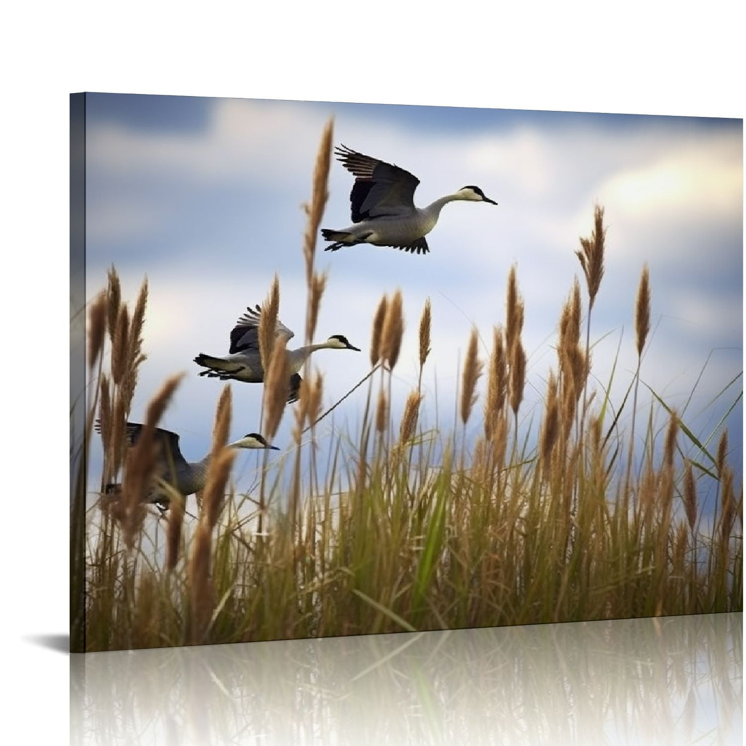 JRXY - Goose Landing Waterfowl West Michigan Nature Landscape Still ...