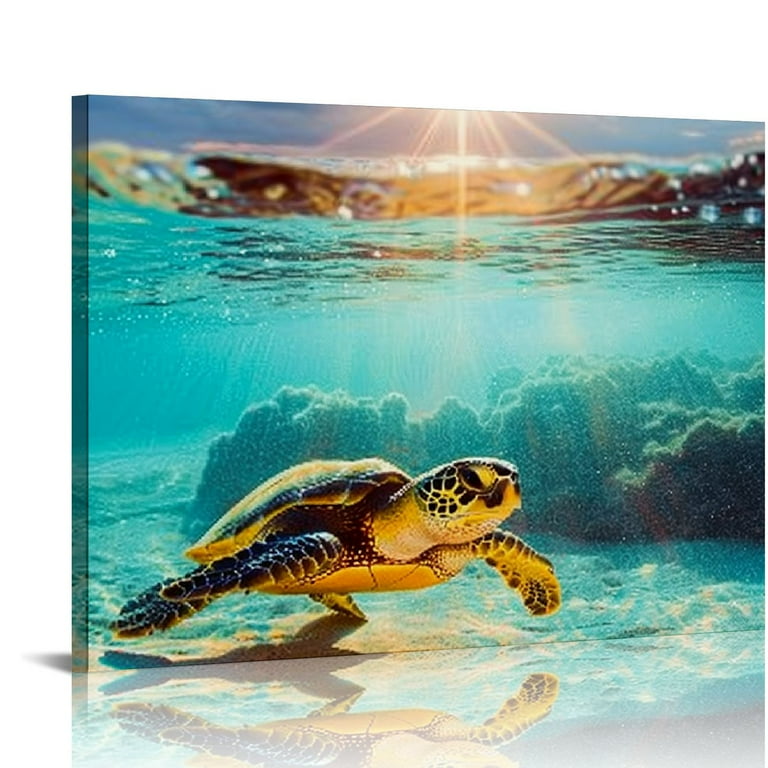 turtle poster ideas