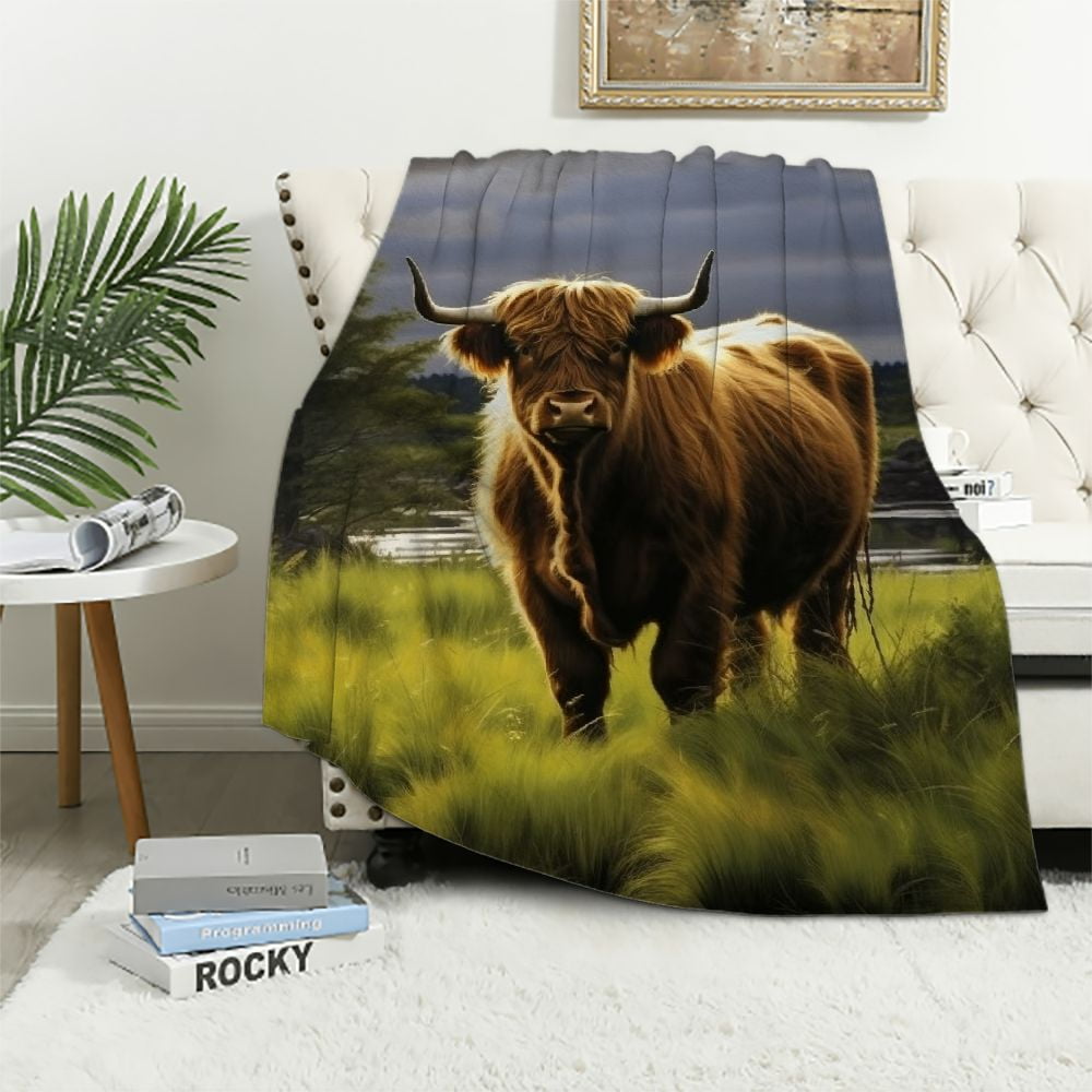 JRXY Highland Cattle Blanket Bull Highland Cow Blanket Soft Fuzzy Plush ...