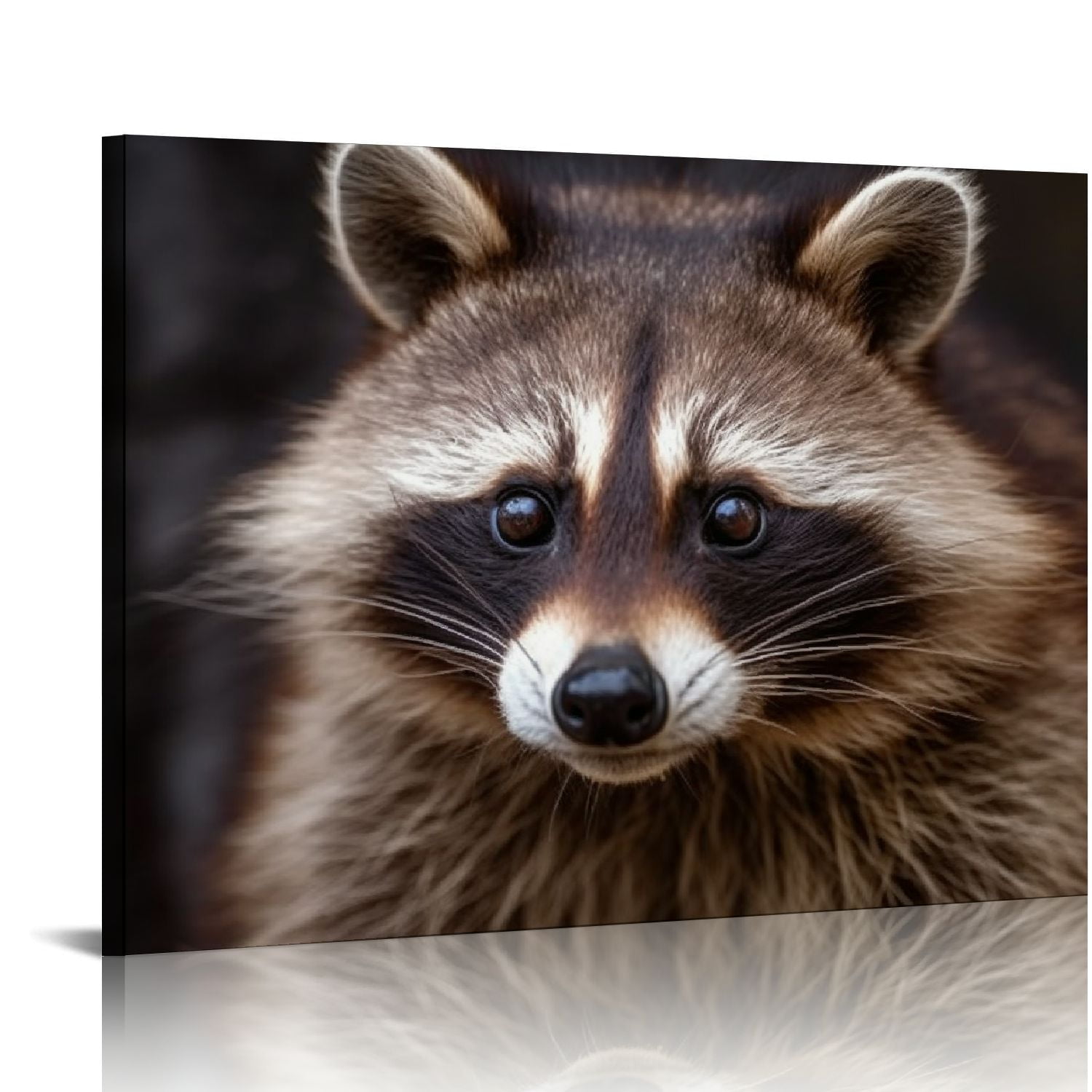 JRXY Raccoon Canvas Prints Wall Art Pictures Wall Decor Animal Posters ...
