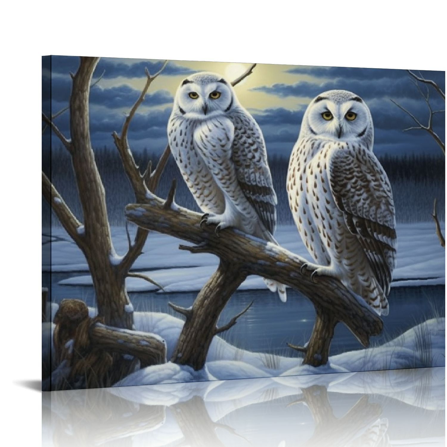 JRXY Snowy Owls Canvas Wall Art Print, Owl Artwork 20x16in - Walmart.com