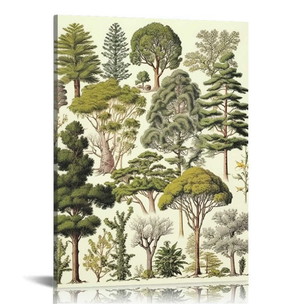 JRXY Vintage Tree Poster - Plant Canvas Wall Art Botanical Wall Posters ...