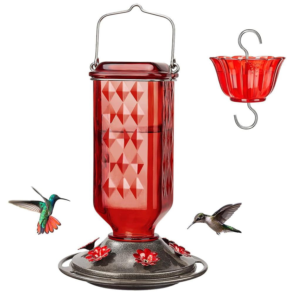 JSNKJL ﻿ Glass Hummingbird Feeder with Ant Moat – 6-Port Bee-Proof ...