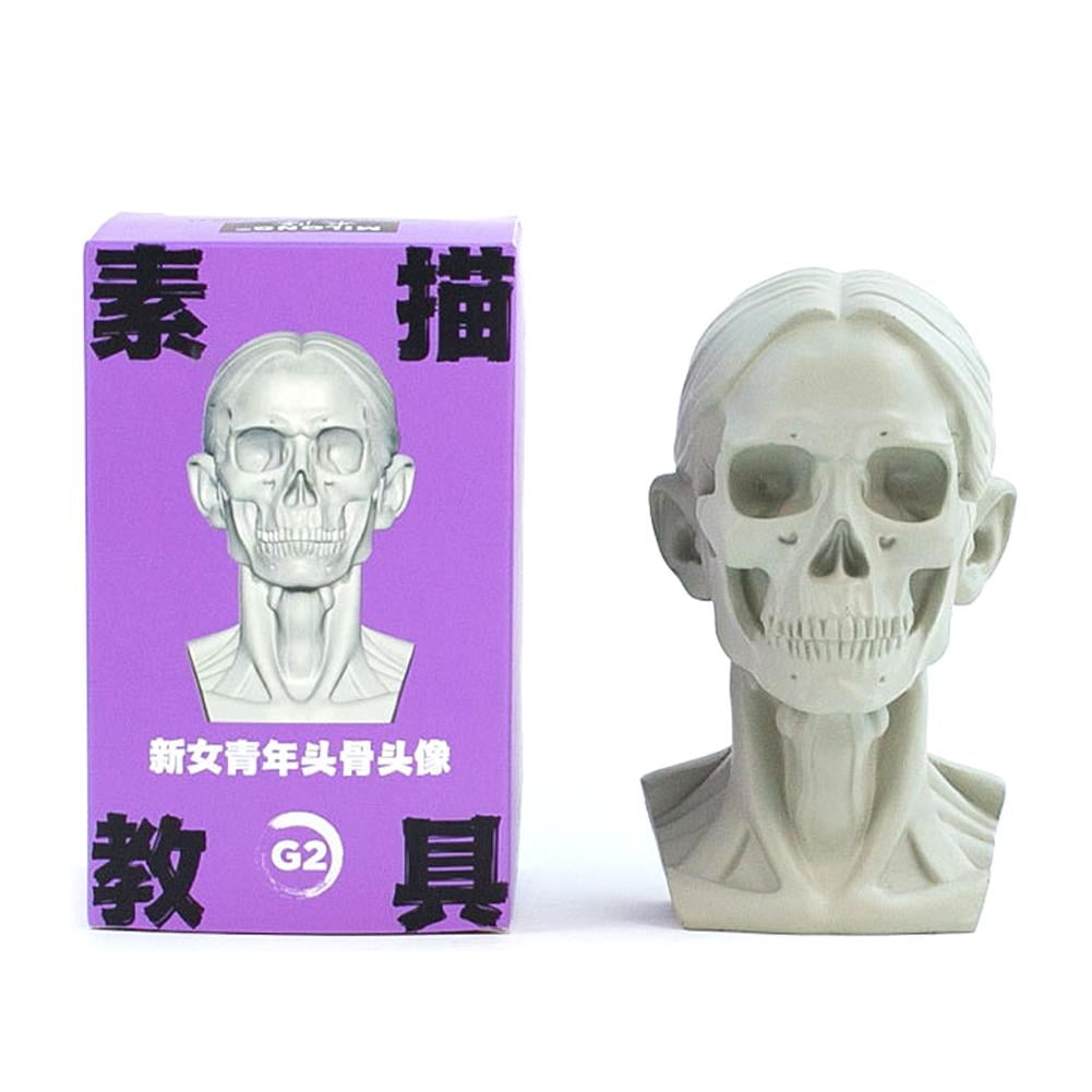 JSNKJL Planar Head Models For Artists Learn Planes of Face, Human Head ...