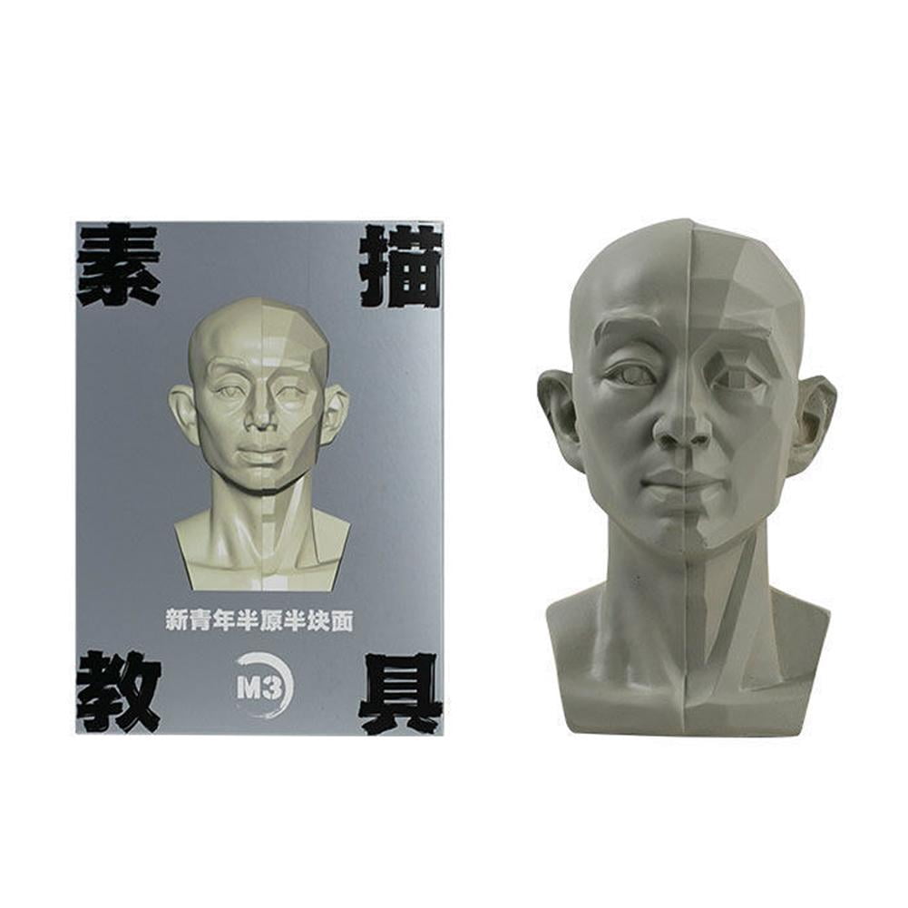 JSNKJL Planar Head Models For Artists Learn Planes of Face, Human Head ...