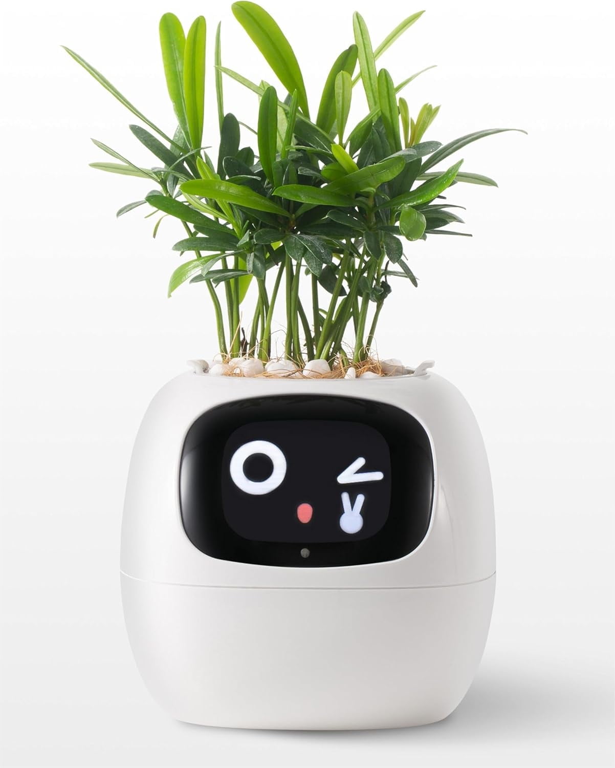 JSNV 3.77" Plantagotchii Smart Plant Pot AI Plant Pot with Expression ...