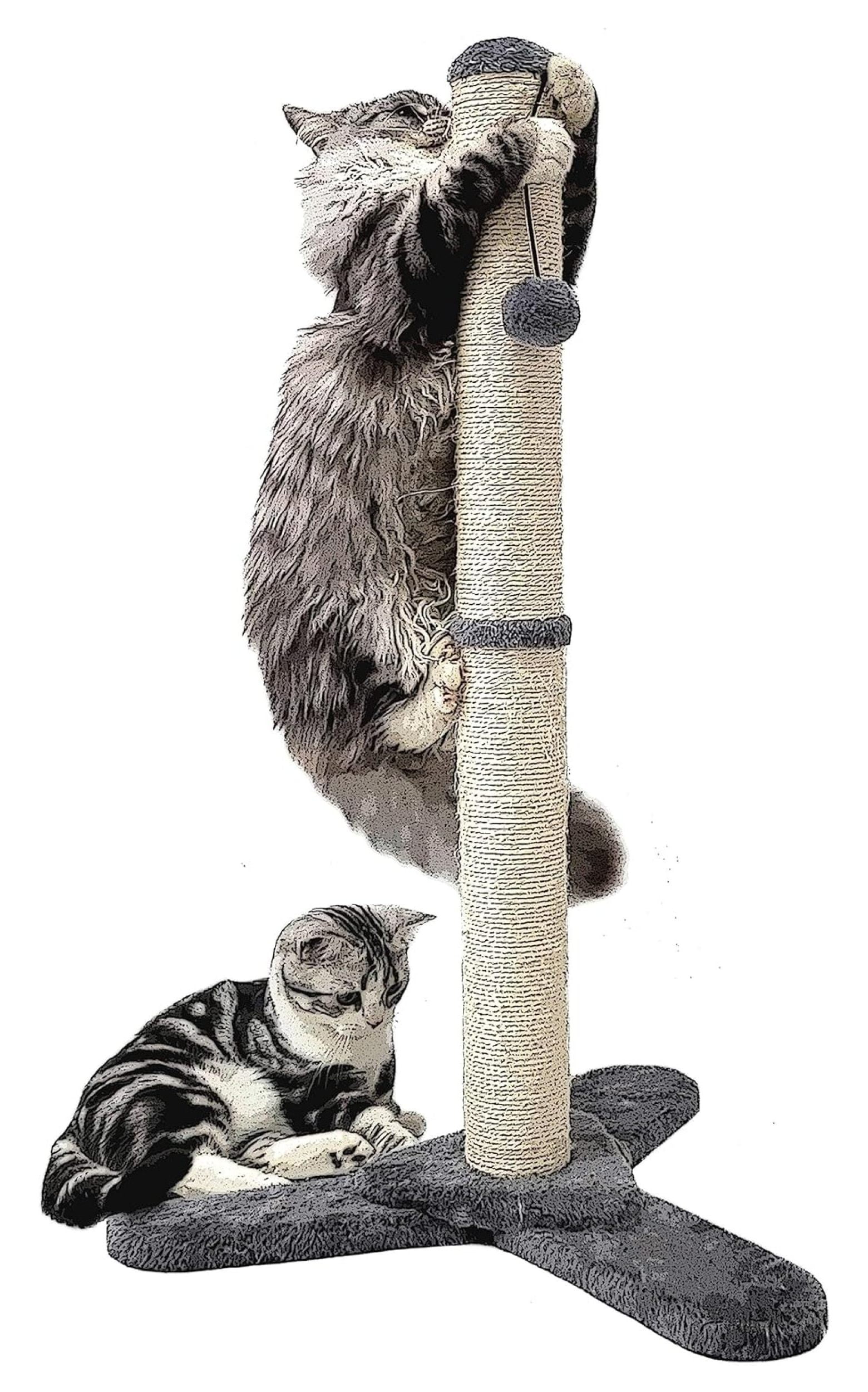 JTAOT 34" Tall Cat Scratching Post with Sturdy Tripod Base, Dangling ...
