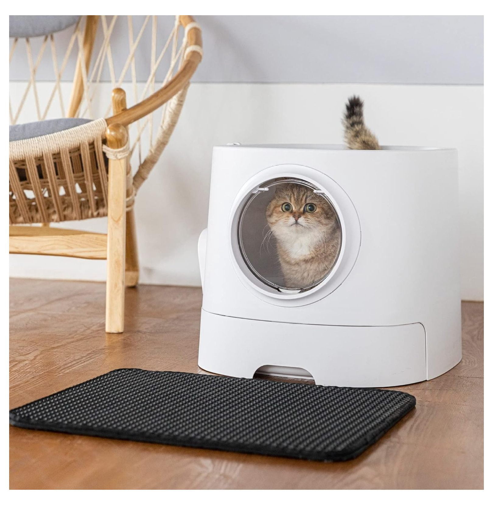 JTAOT Extra Large Cat Litter Box with , Cat Litter Trapper Mat, Front ...