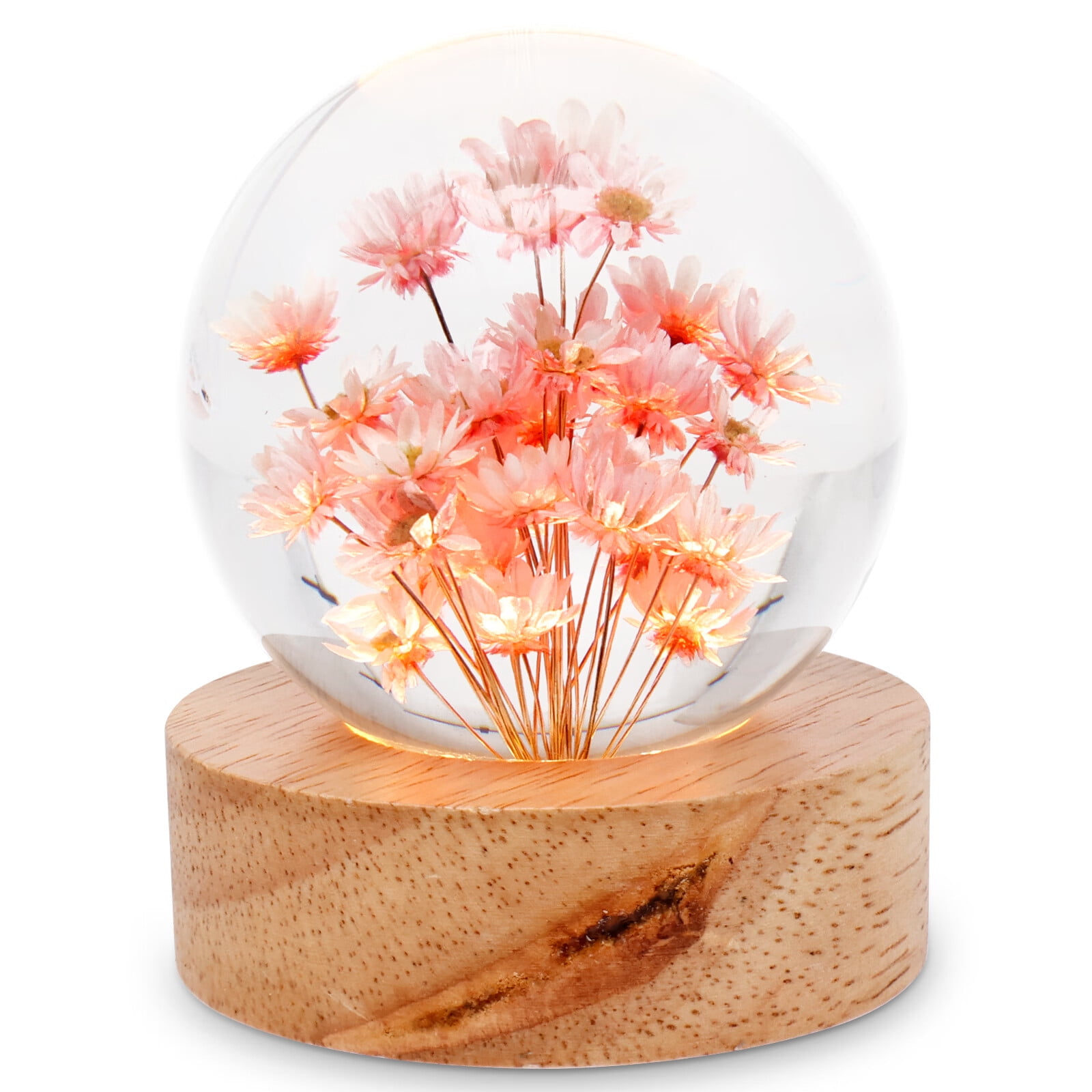 JTNero Dandelion Crystal Ball Night Light with Wooden Base USB Powered ...