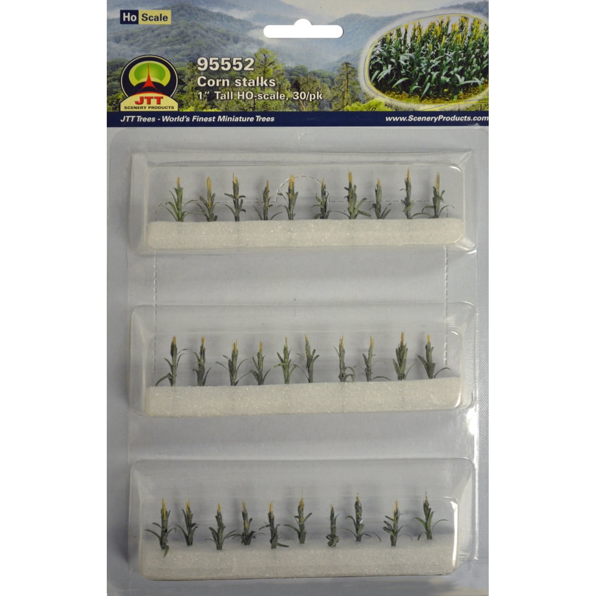 Miniature Corn Stalks