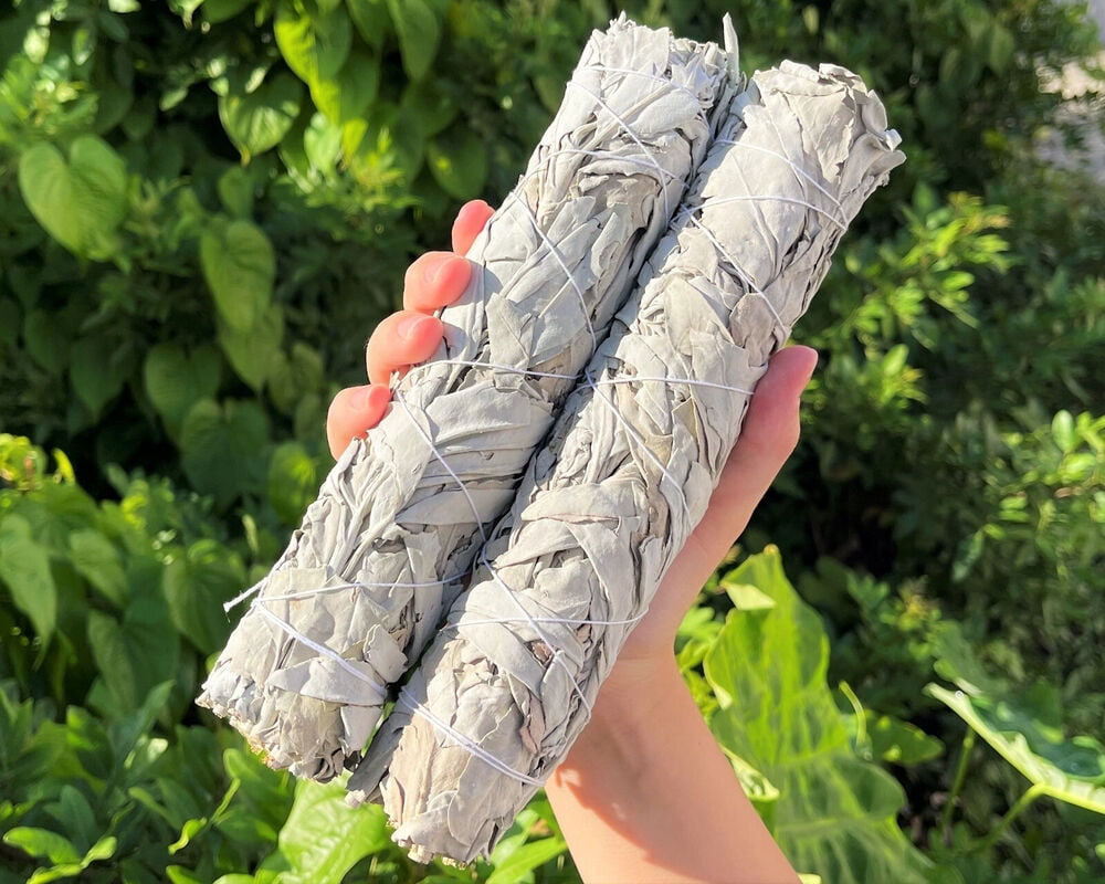 JUMBO White Sage Smudge Bundles, 2 Pack Bulk Lot + Directions (9" Sage ...