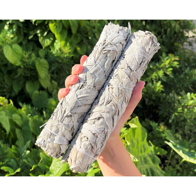 JUMBO White Sage Smudge Bundles, 2 Pack Bulk Lot + Directions (9" Sage ...