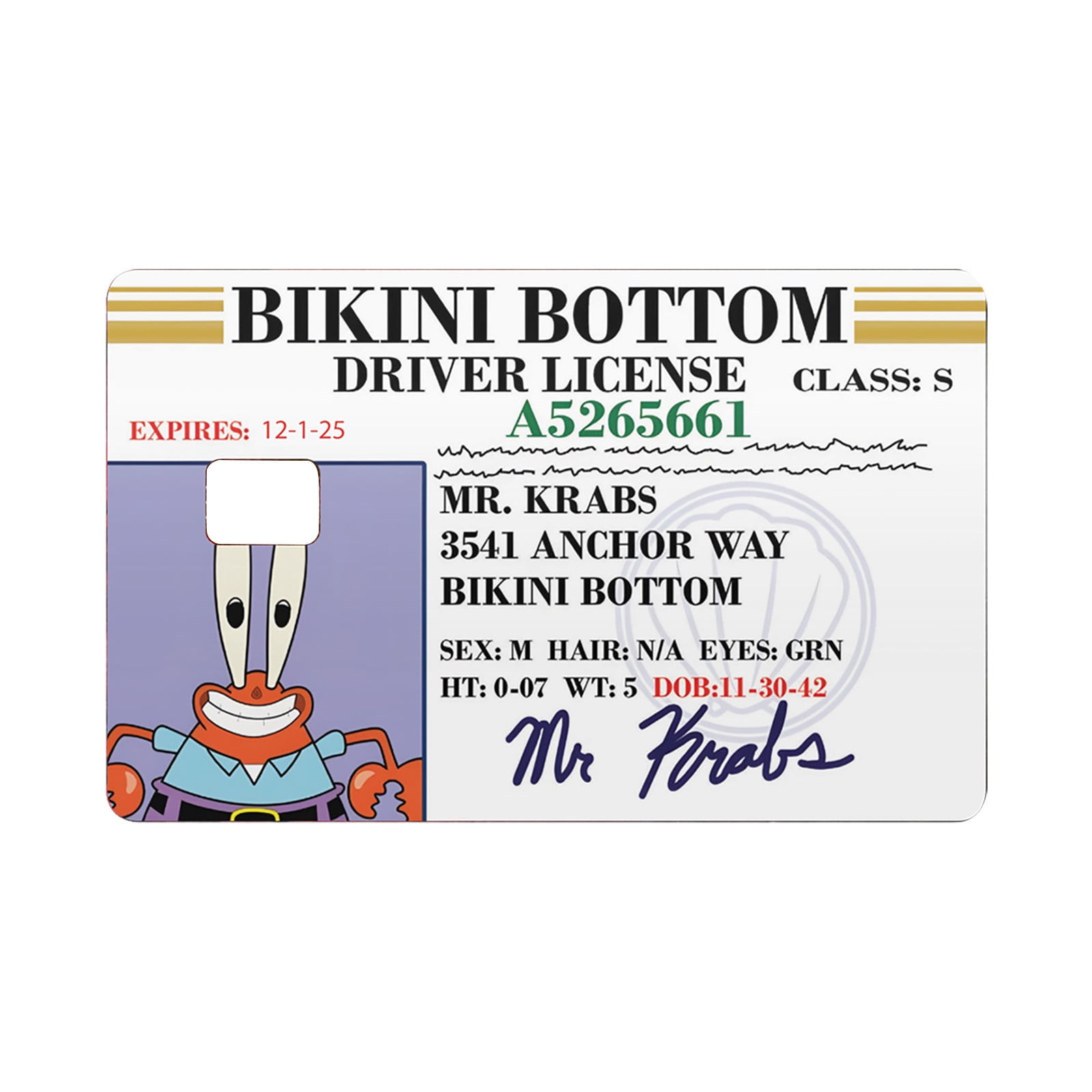 JUNBYONE Debit Card Skin Decal Personalize and Protect Your Bank Cards ... JUNBYONE Debit Card Skin Decal Personalize and Protect Your Bank Cards ...