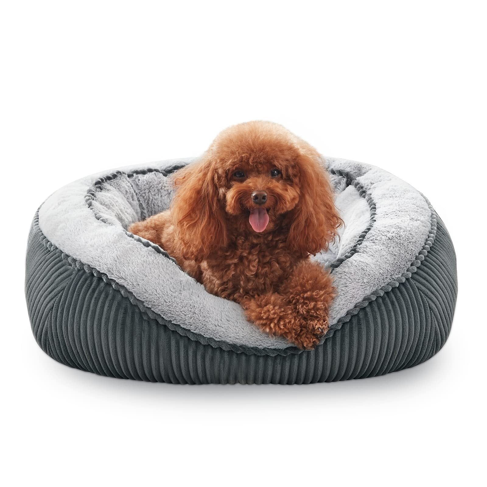 JUNM Dog Beds for Small Medium Large Dogs & Cats. Washable Pet Bed ...