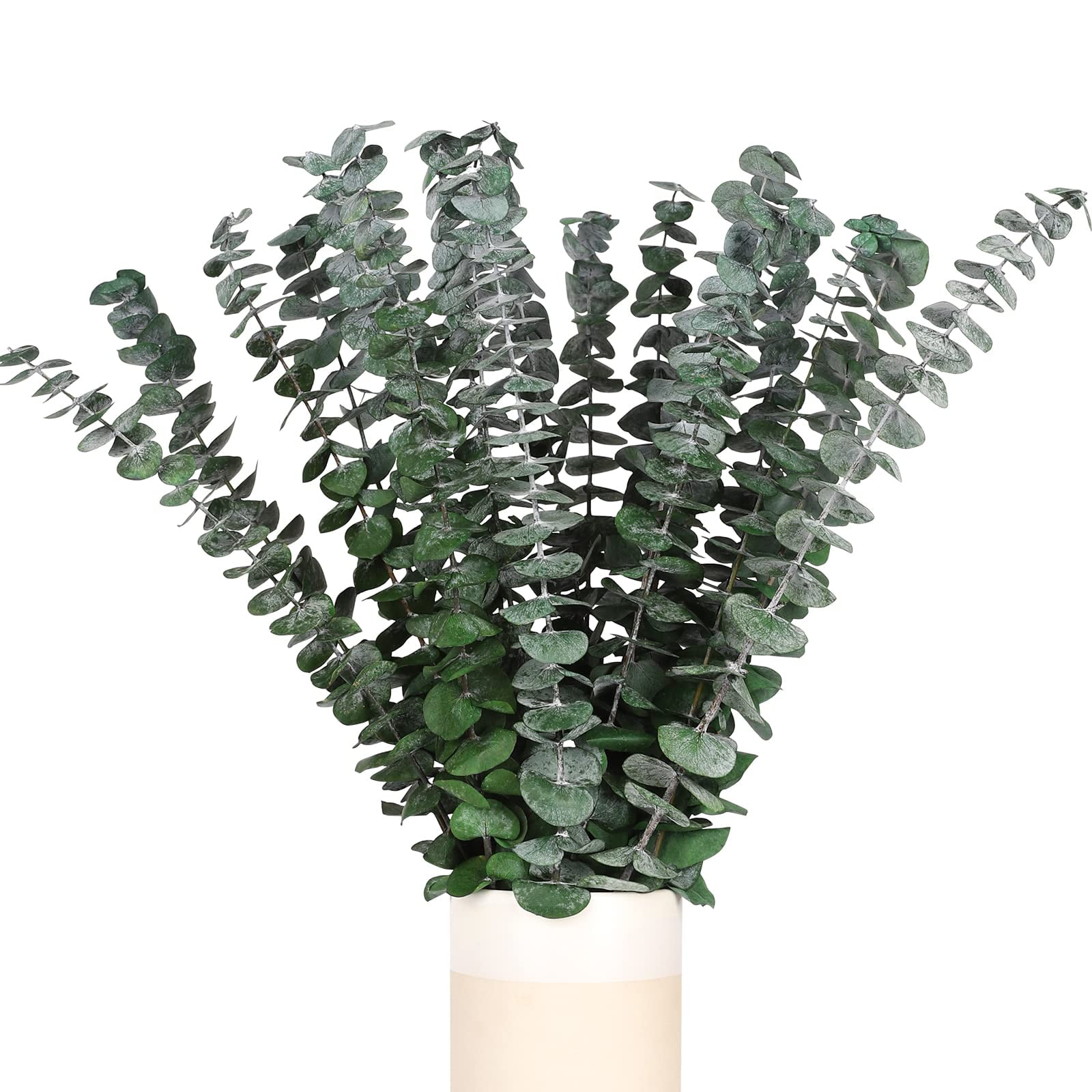 JUNM HIAGROW Real Eucalyptus Stems Greenery Decor 20PCS 16" Dried ...
