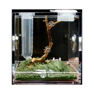 Lee's Aquarium Kritter Keeper - Small Animal Habitat, Aquatic Tank ...