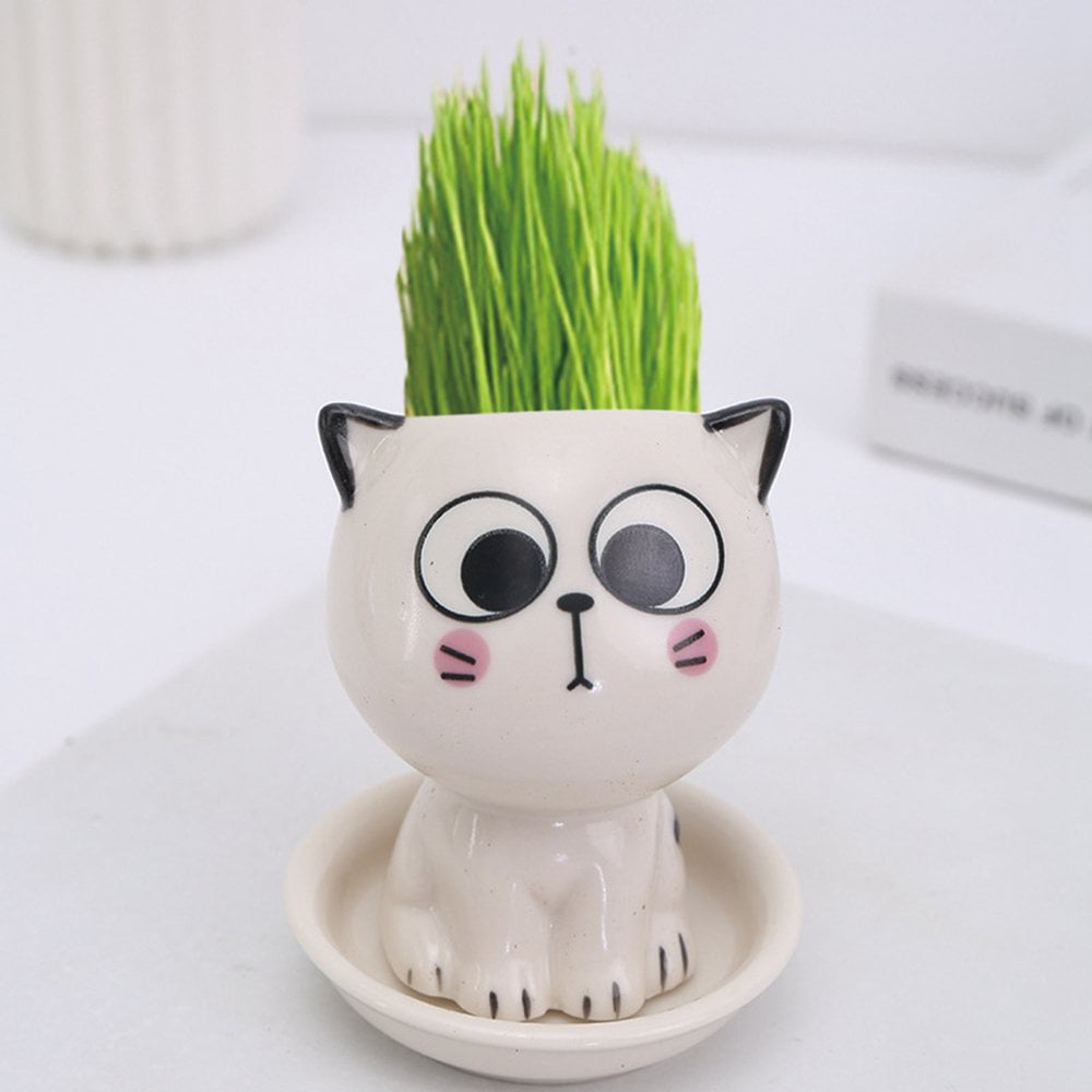 JUNWELL Ceramic Flowerpot Mini Cat Shaped Cartoon Potted Plant Desktop ...