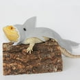 JUNWELL Shark Shape Outfit for Lizard Reptile for Chameleon Gecko Anole ...