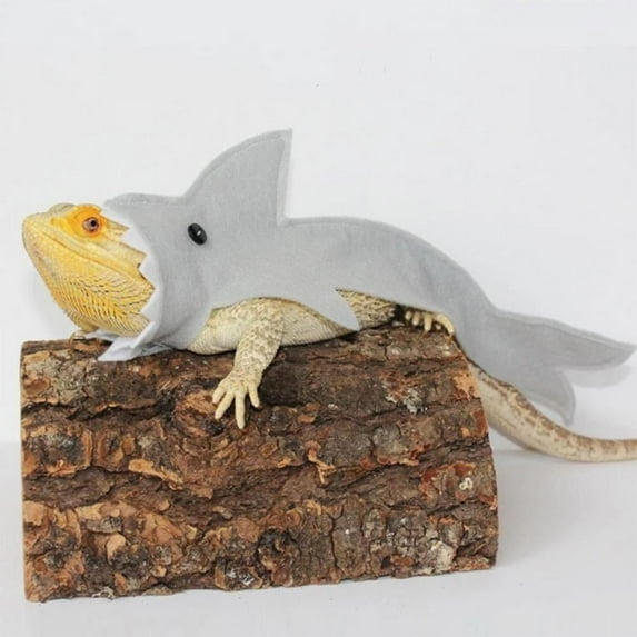 JUNWELL Shark Shape Outfit for Lizard Reptile for Chameleon Gecko Anole ...