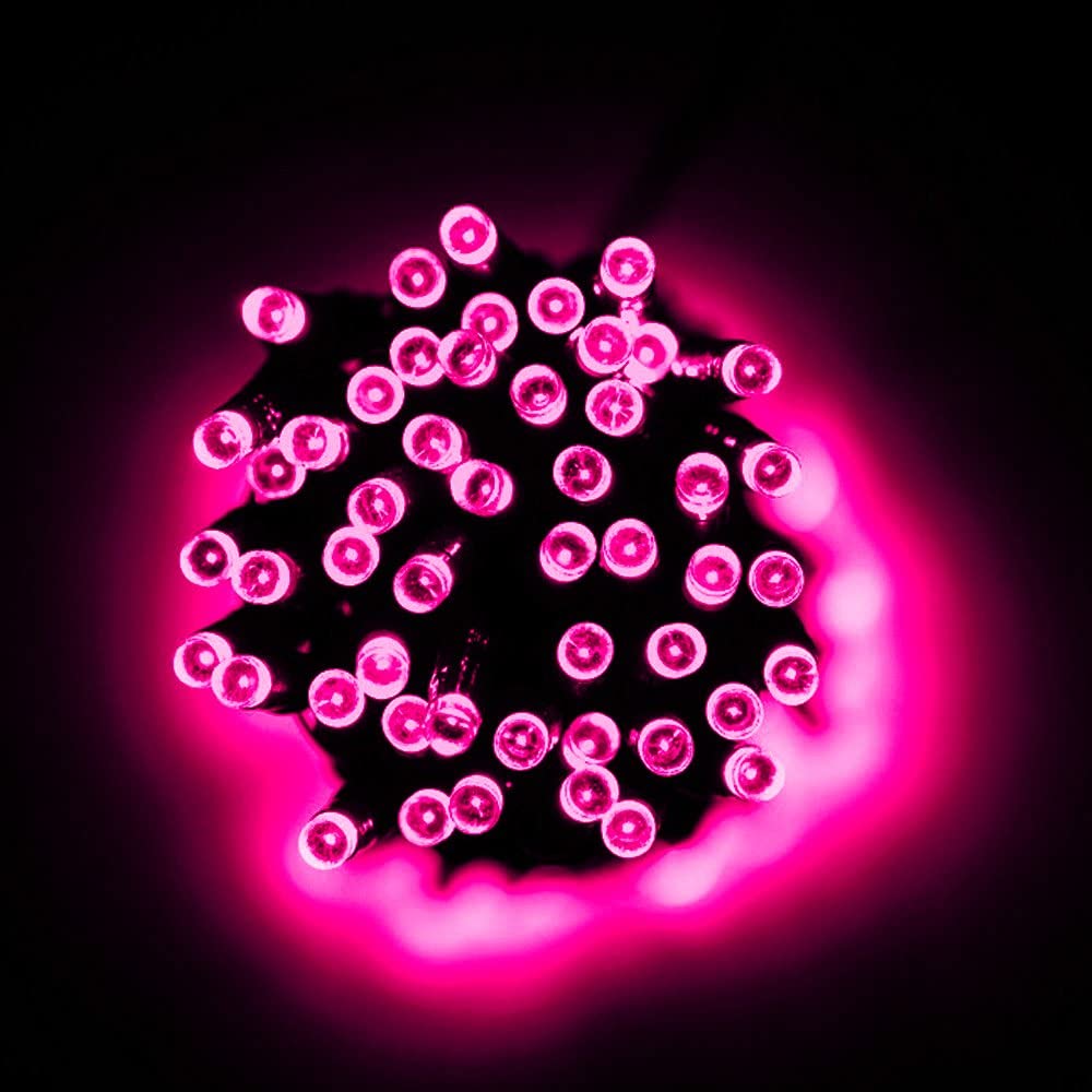 LINYAN-30 Mini Bulb LED Battery Operated Fairy String Lights in Pink ...