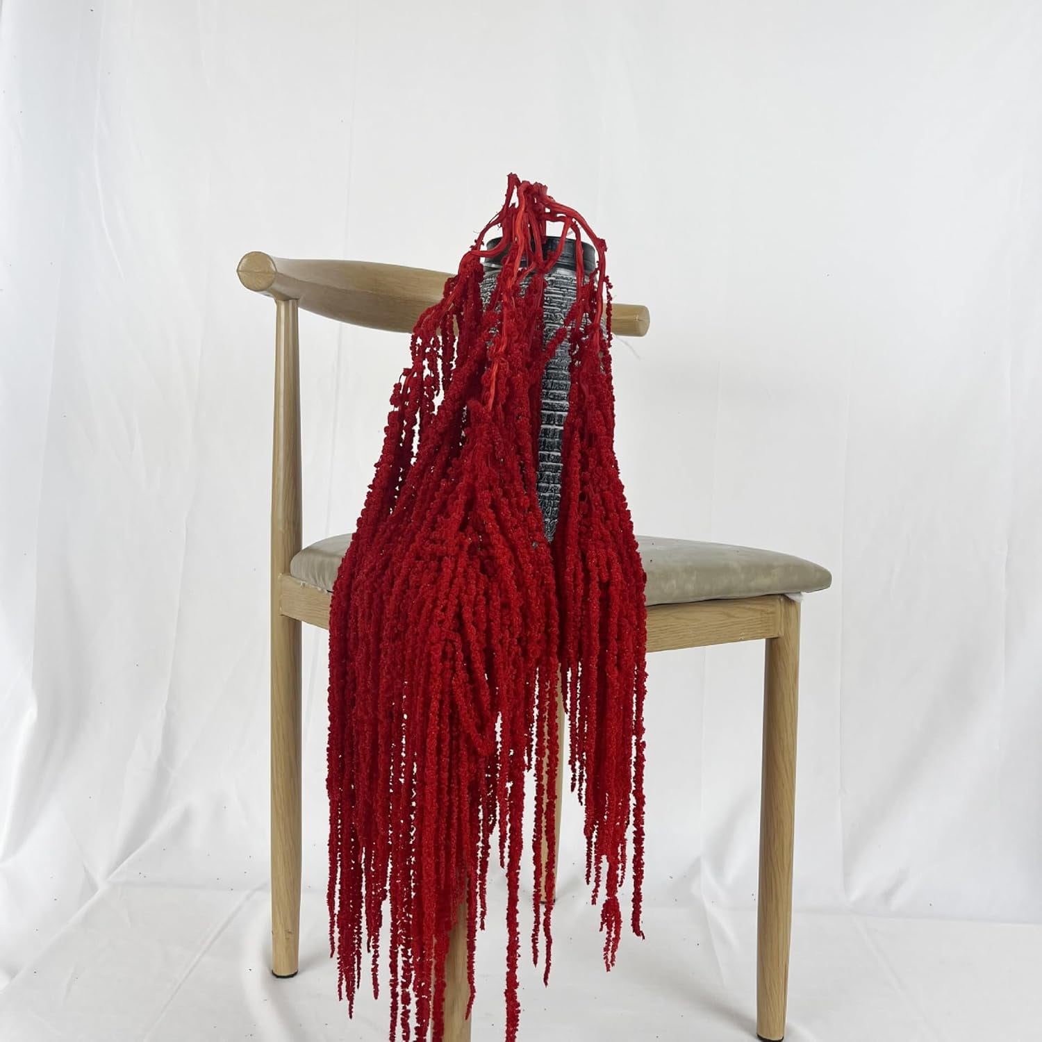 JUNY 5 Pieces Amaranthus Flower Dried Preserved Bleached Wisteria ...