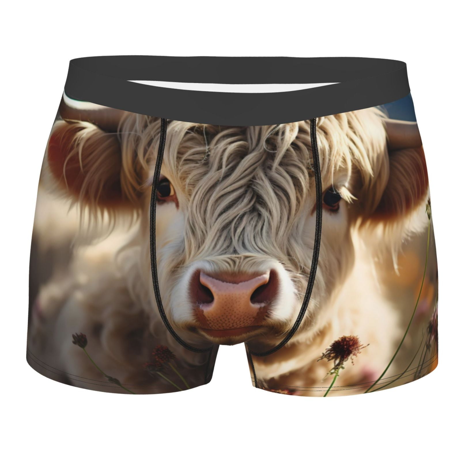 JUNZAN Adorable Flower Field Cow Mens Underwear Boxer Briefs for Men’s ...