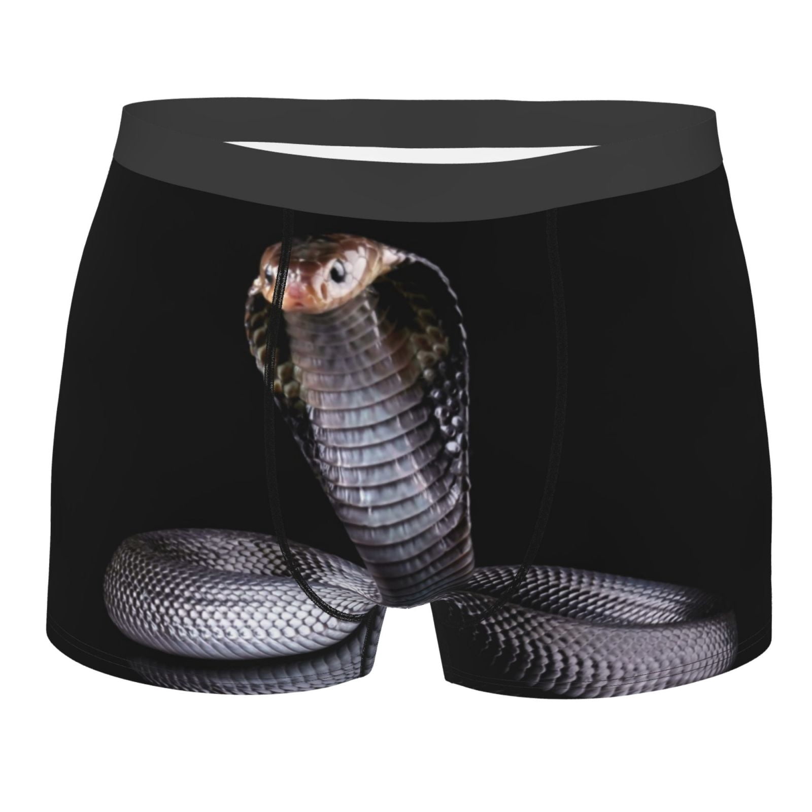 JUNZAN Black Cobra Snake Mens Underwear Boxer Briefs for Men’s-XX-Large ...