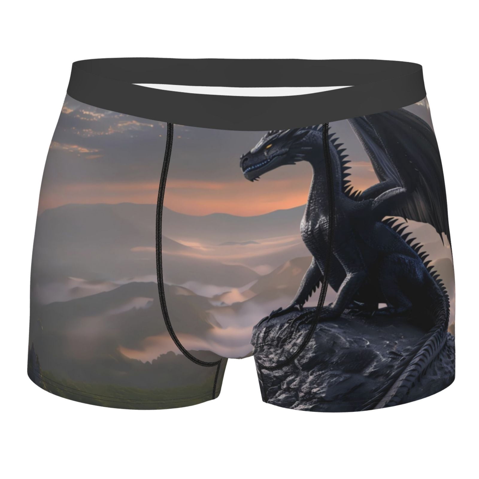 JUNZAN Black Dragon Cliff Dawn Mens Underwear Boxer Briefs for Men’s ...