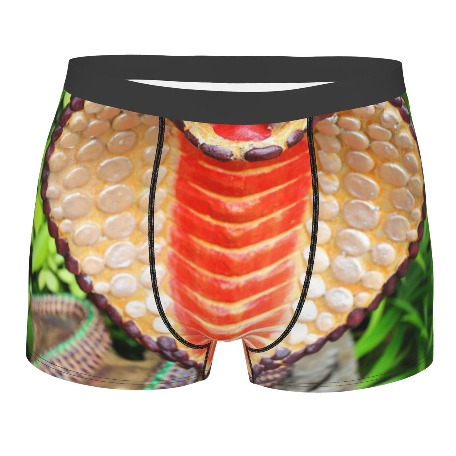 JUNZAN Cobra Snake Mens Underwear Boxer Briefs for Men’s-Large ...