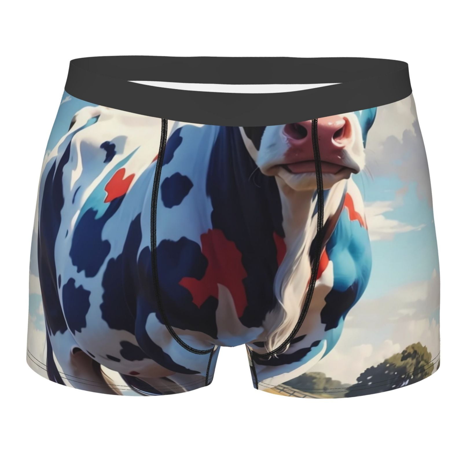 JUNZAN Colorful Cow Pasture Mens Underwear Boxer Briefs for Men’s ...