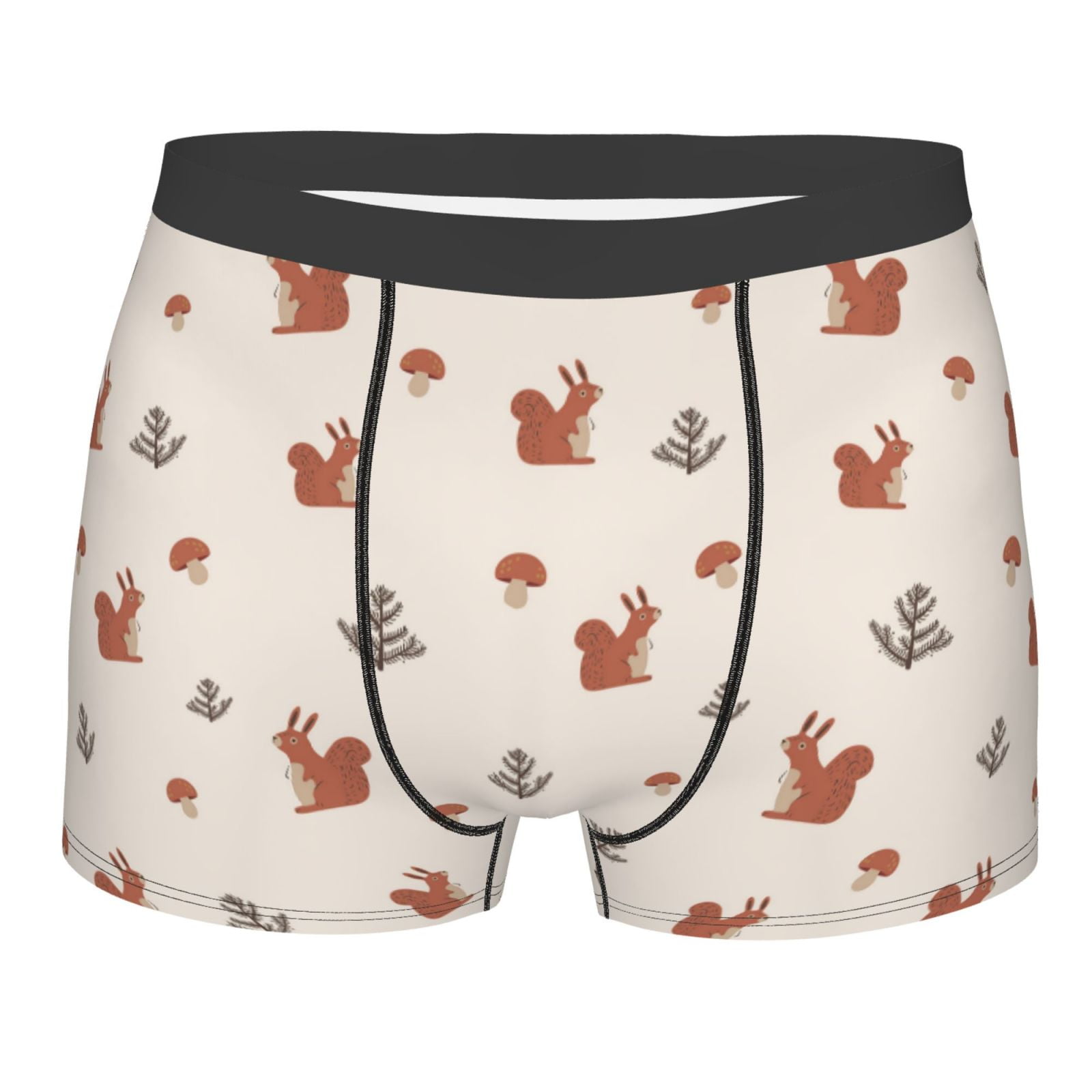 JUNZAN Cute Squirrel Mens Underwear Boxer Briefs for Men’s - Large ...