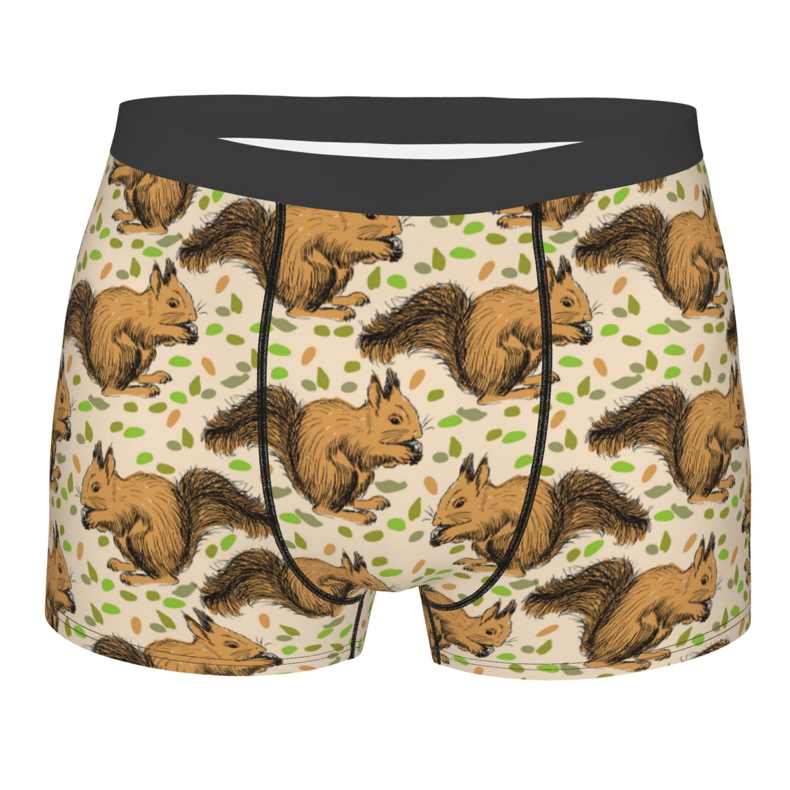 JUNZAN Cute Squirrel with Green Leaves Mens Underwear Boxer Briefs for ...