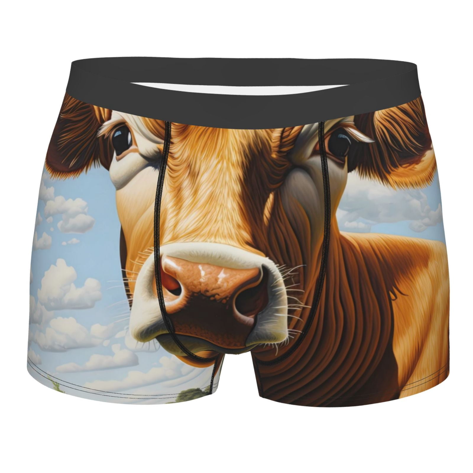 JUNZAN Daisy Flower Field Cow Mens Underwear Boxer Briefs for Men’s ...