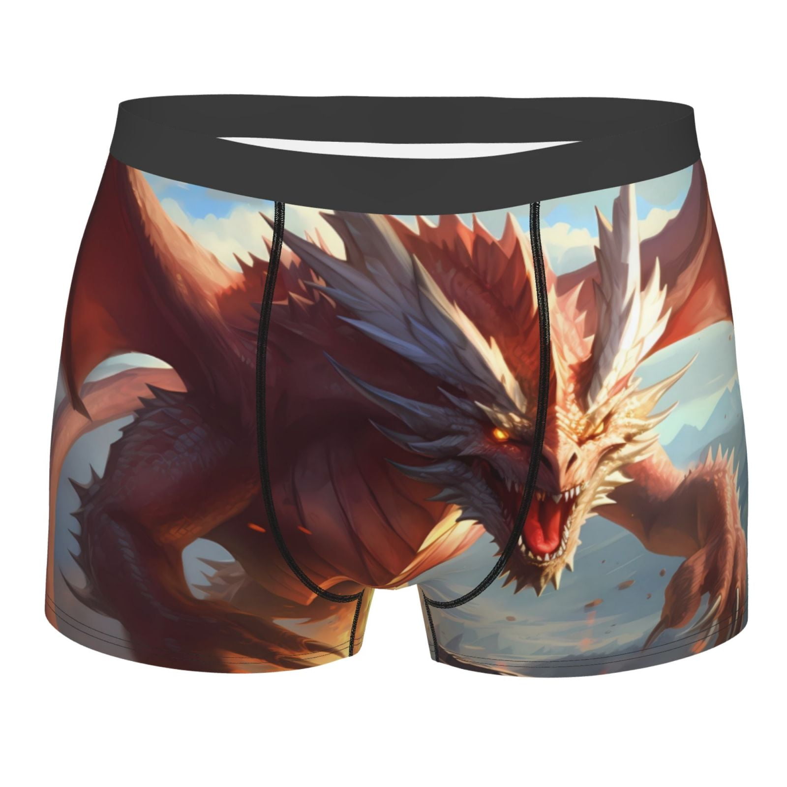 JUNZAN Ferocious Dragon Fury Mens Underwear Boxer Briefs for Men’s ...