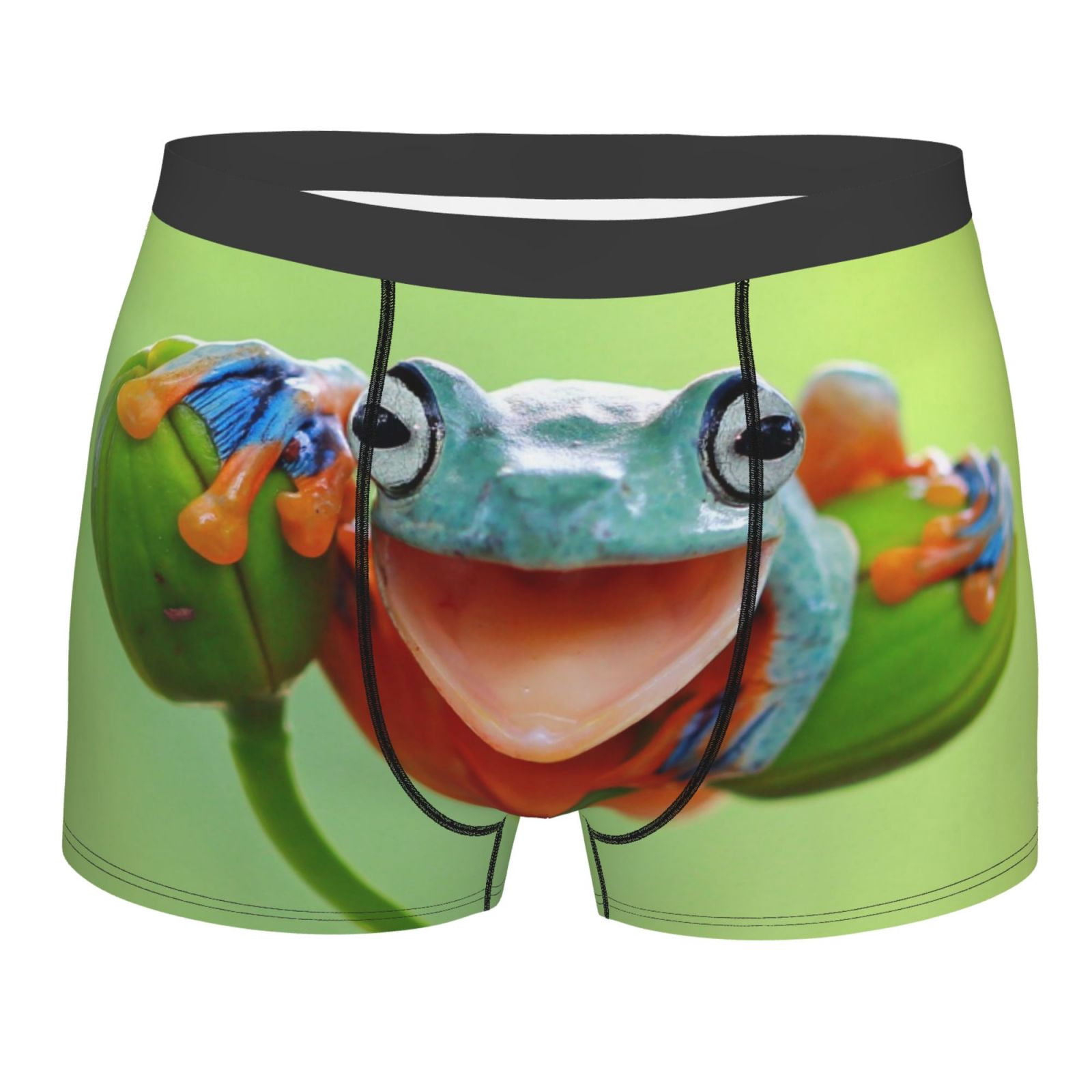 JUNZAN Flying Frog On Branch Mens Underwear Boxer Briefs for Men’s ...