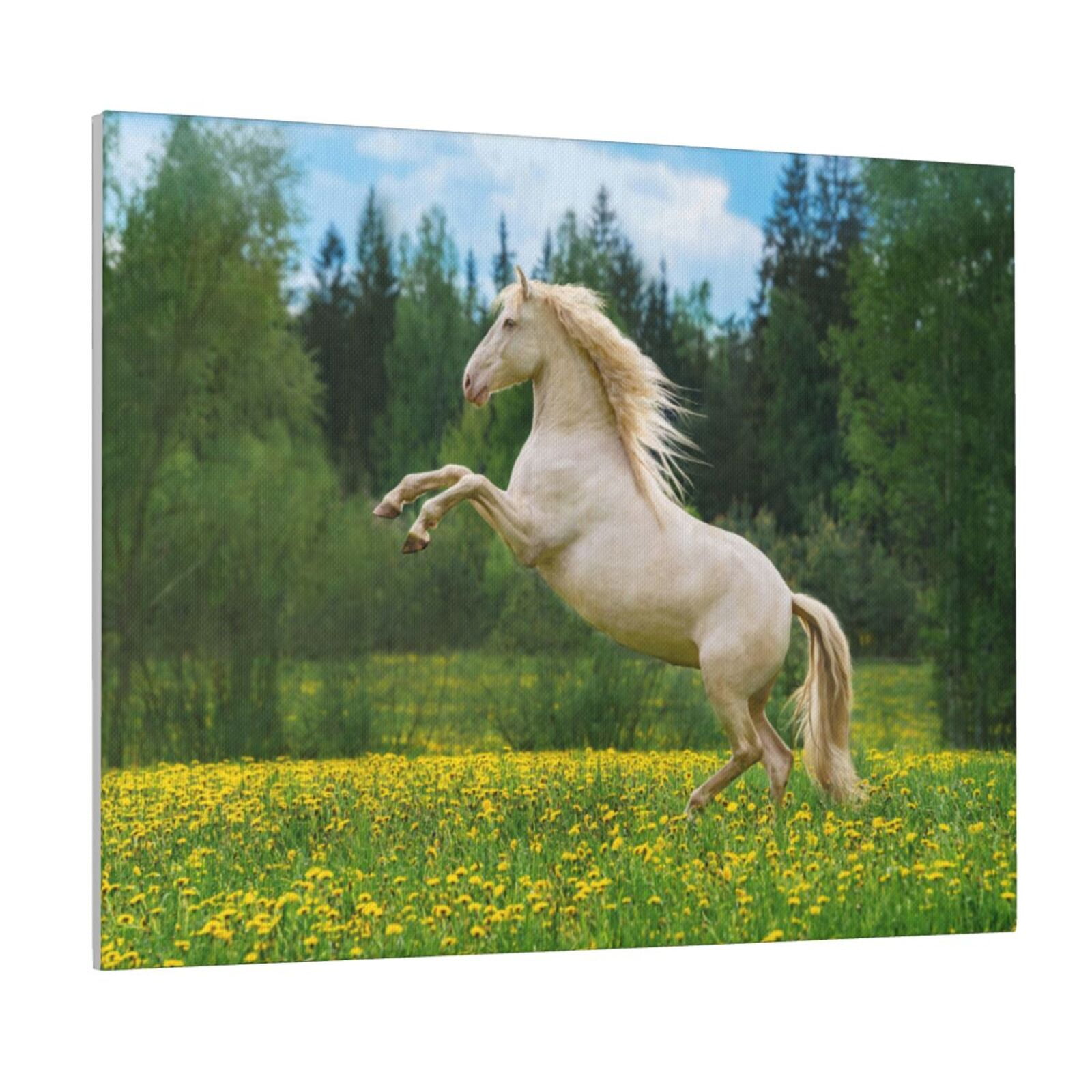 JUNZAN Horse Rearing Up In The Field Pattern Canvas Art Wall Decor ...