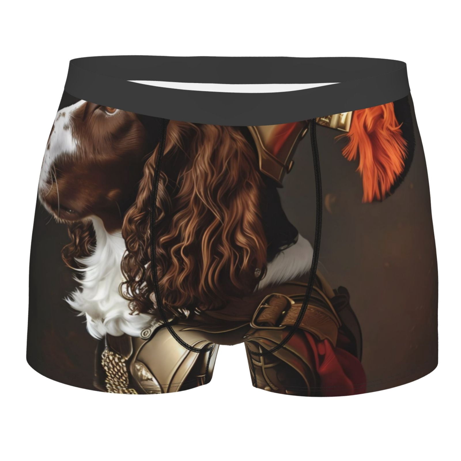 JUNZAN Medieval Knight Dog Mens Underwear Boxer Briefs for Men’s-Small ...