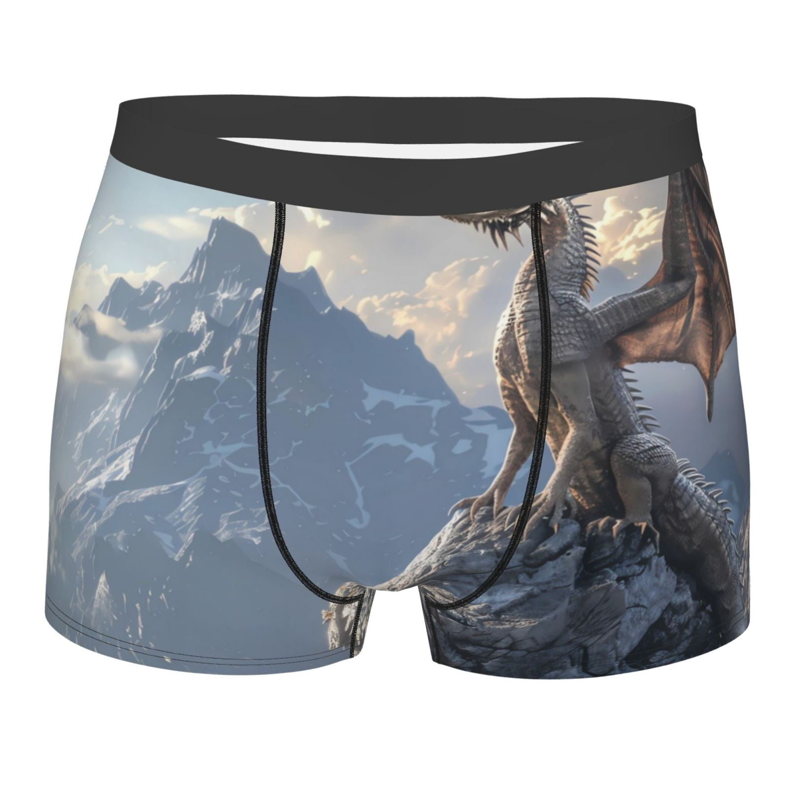 JUNZAN Silver Dragon Mountain Peaks Mens Underwear Boxer Briefs for Men ...