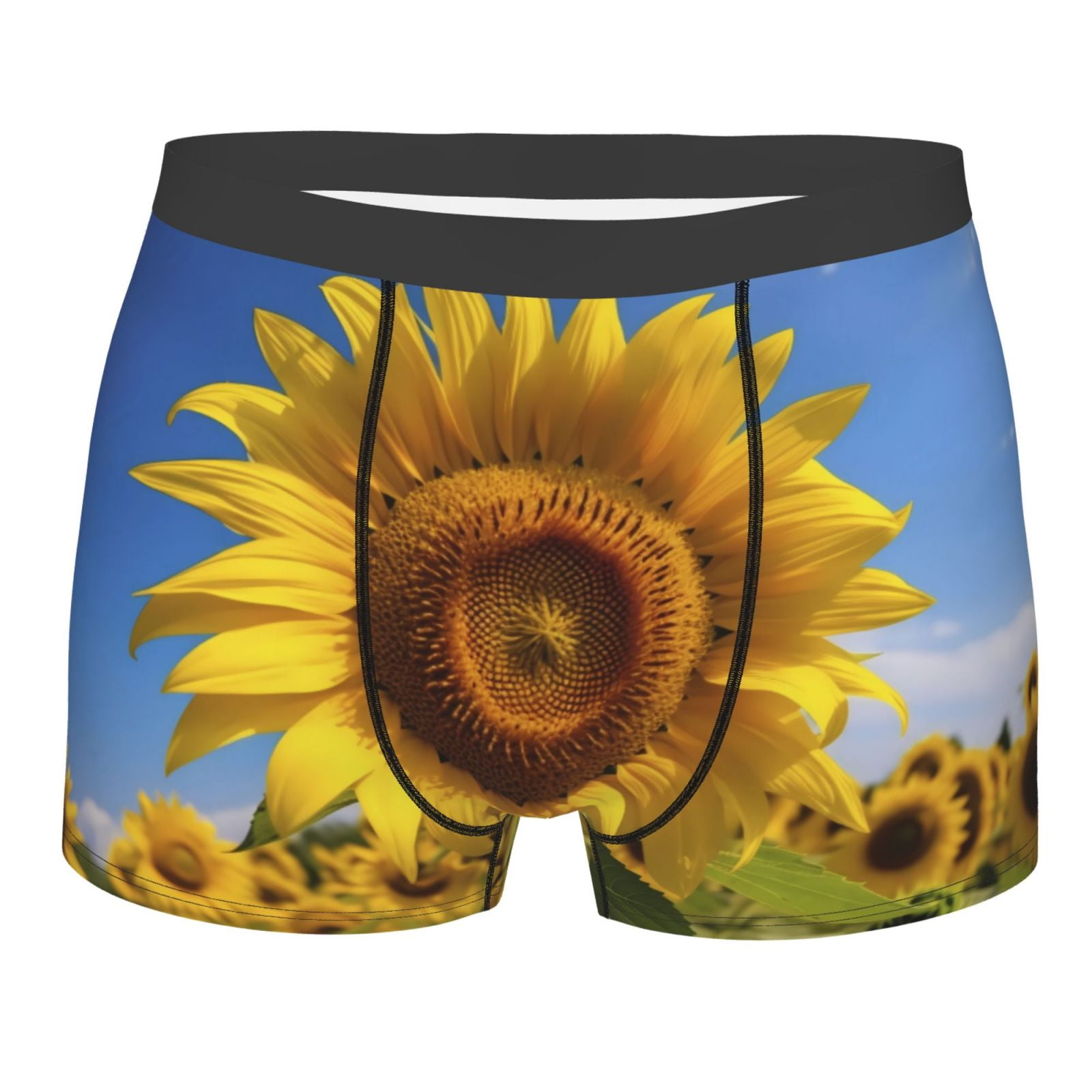 JUNZAN Sky Golden Sunflower Field A Mens Underwear Boxer Briefs for Men ...