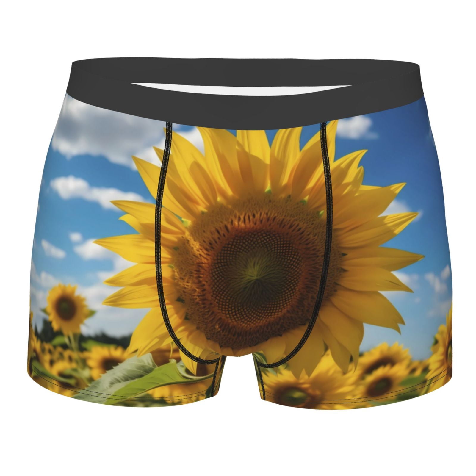 JUNZAN Sky Golden Sunflower Field Mens Underwear Boxer Briefs for Men’s ...